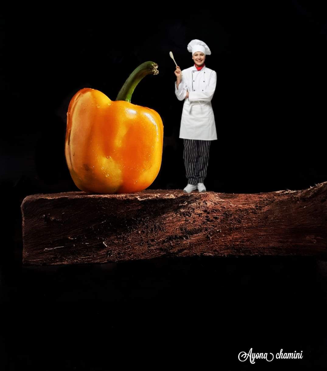 SRI LANKA Grateful for the 'talents' God gave her, a young woman helps ...